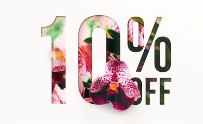 Luxury Roses Bouquets | Bosii’s Flowers, London’s Finest Florist